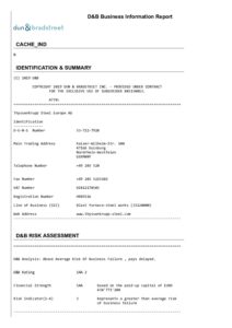 D&B_Business_Information_Report_Sample | SteelHedge Platform